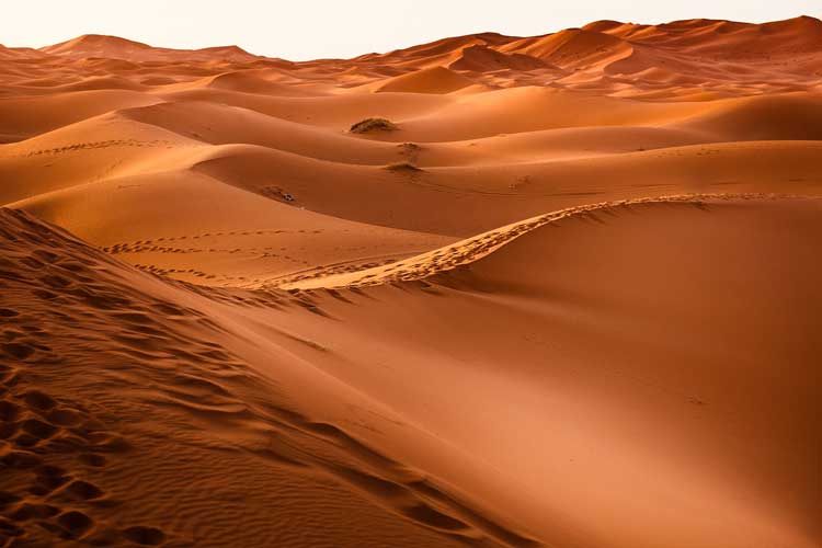 5 largest deserts in the world